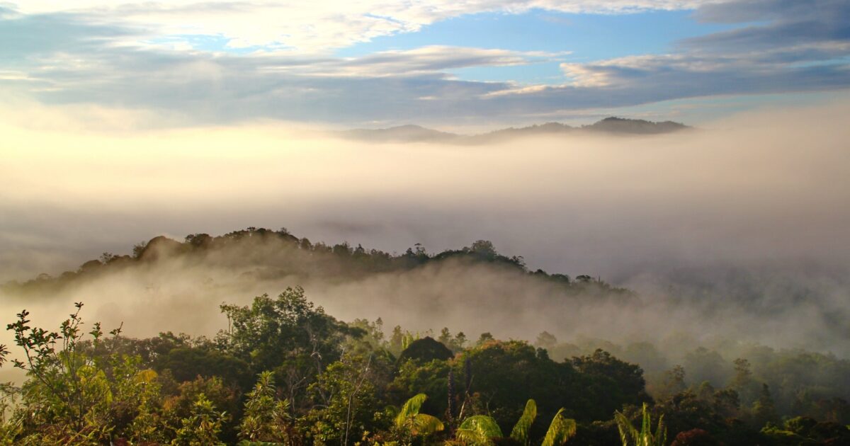 In the Footsteps of the Brave | Trips & Treks | Tribal Tracks